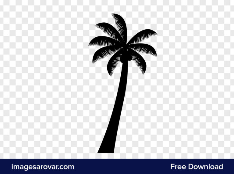 Coconut Tree Silhouette Vector Illustration Png With Transparent ...