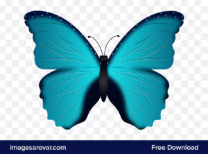 Blue Morpho Butterfly Vector Clipart Png Free Download - Image Sarovar ...