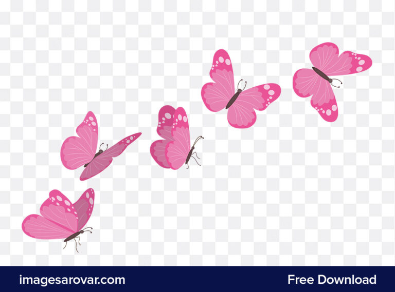 Flying Butterflies Clipart Vector Png Free Download - Image Sarovar ...